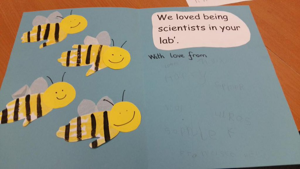 GOING ON A BUG HUNT! - Warminster School